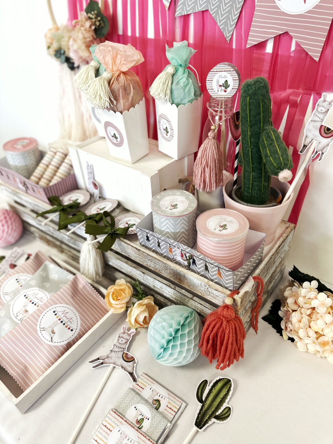 Caja de fiesta de cumpleaños Llamas y Cactus